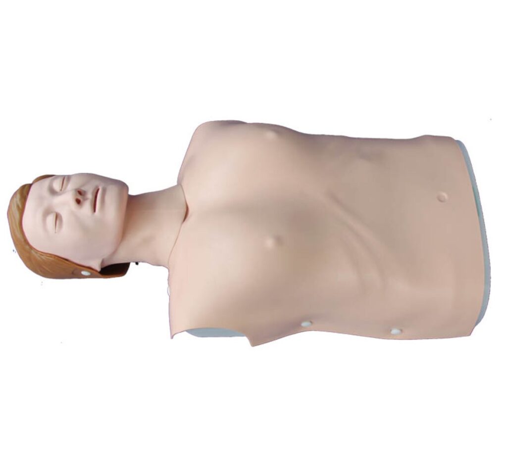 Half Body CPR Training Model (Female) – Medical Insight